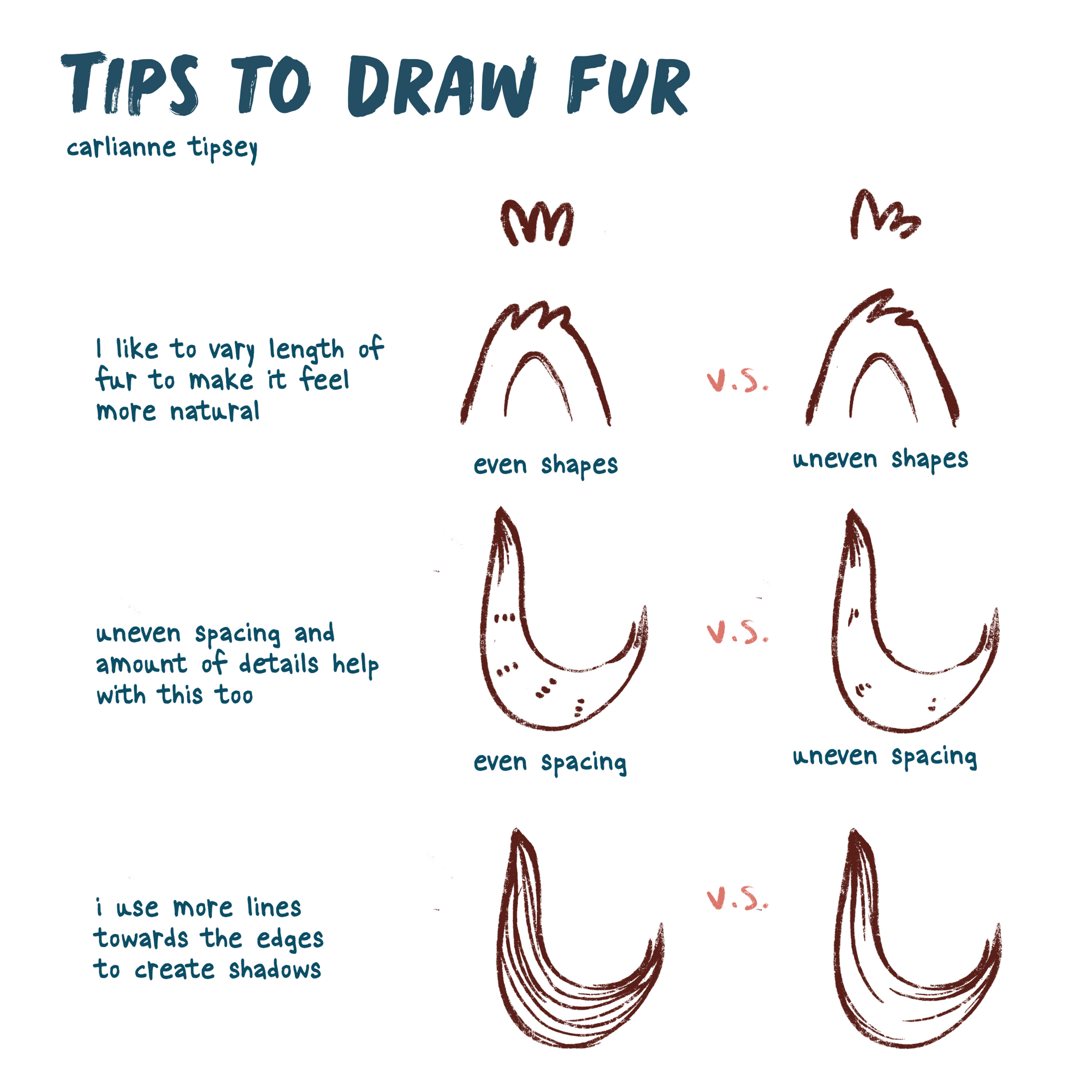 How to Draw Fur | Tips, Tricks, and Step-by-Step Instructions ...